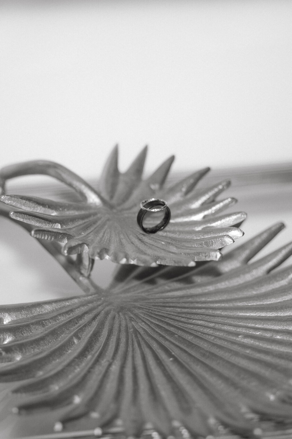 Record Box Loft Wedding Photos | Battle Creek Michigan ...